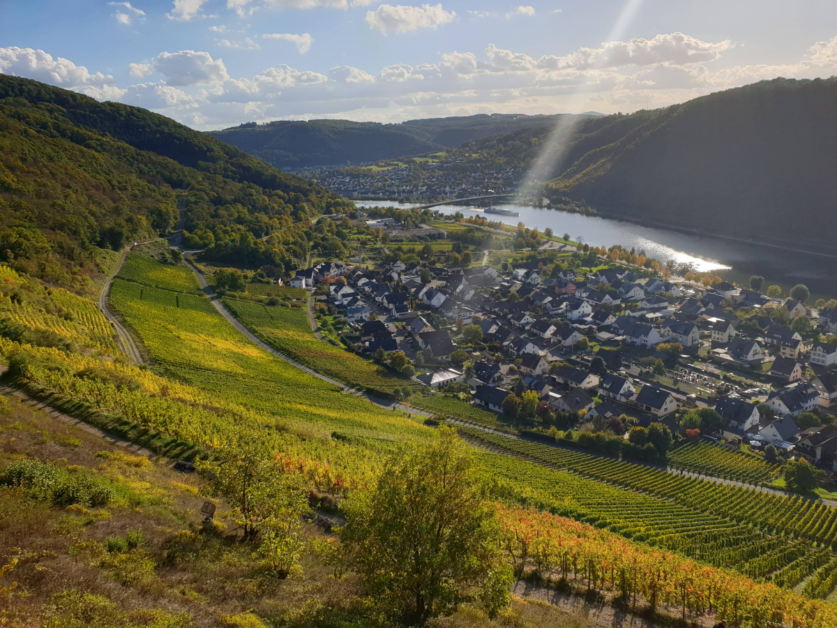 Motorreis Moezel Duitsland | GPX Motortour langs Kattenes